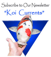 Hydrosphere Water Gardens Koi Varieties Guide - Hydrosphere - The Koi ...