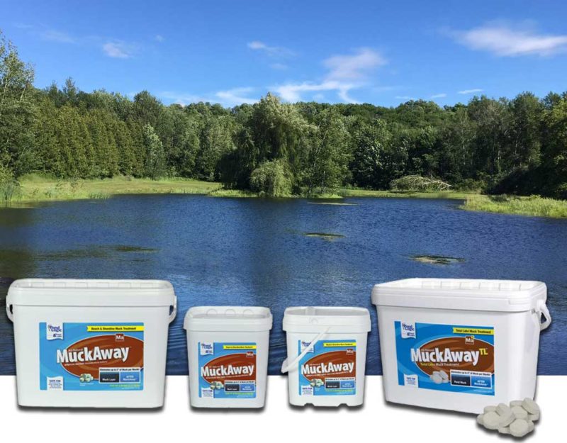 Large Pond Muck & Sludge - Hydrosphere Water Gardens