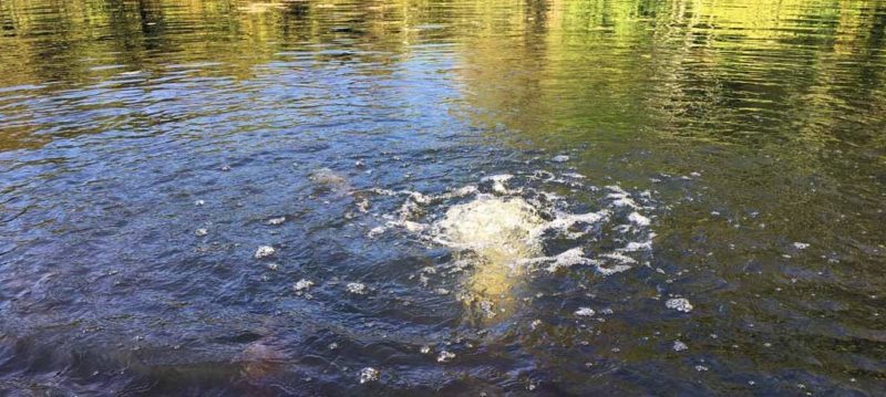 How to Size an Aeration System for a Large Pond - Hydrosphere Water Gardens