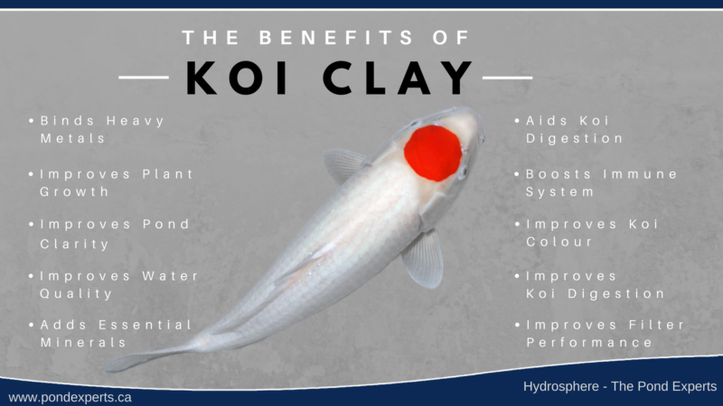The Many Benefits of Montmorillonite Koi Clay - Hydrosphere Water Gardens