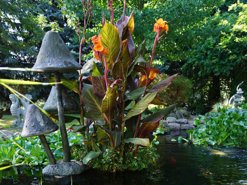 Custom Pond Planter Baskets - Hydrosphere Water Gardens