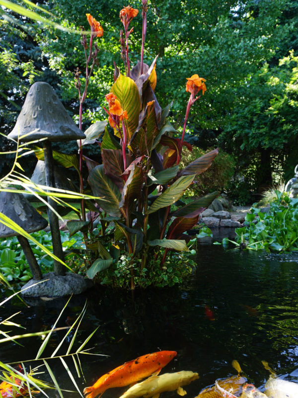 Custom Pond Planter Baskets - Hydrosphere Water Gardens